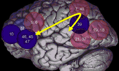 St. Jude Receives FDA Brain Stimulation Approval - Today's Medical ...