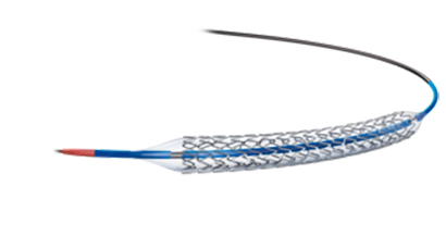 Promus PREMIER Platinum Chromium Stent System - Today's Medical ...