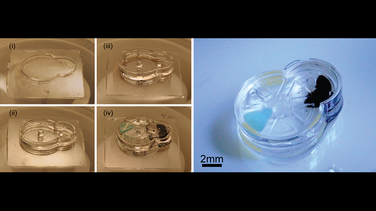Complex medical devices from implantable microrobots - Today's Medical ...