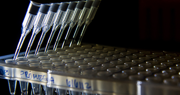 Plan for NIST Material Measurement Lab - Today's Medical Developments